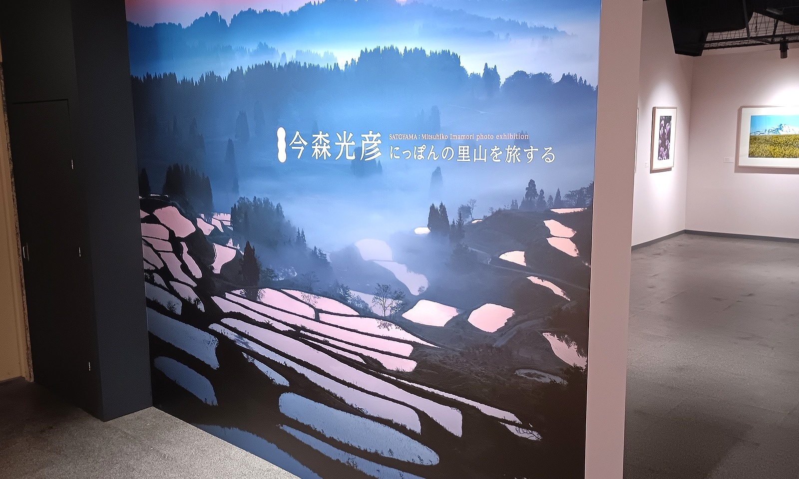 最近のkenken（今森光彦写真展に行ってきた）: My Favorite Butterflies of JAPAN